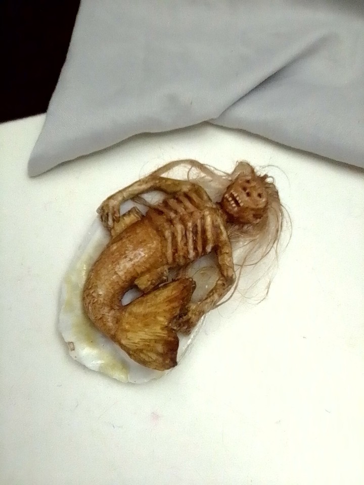 miniature Feejee fiji Mermaid on oyster shell Sideshow gaff freak | eBay