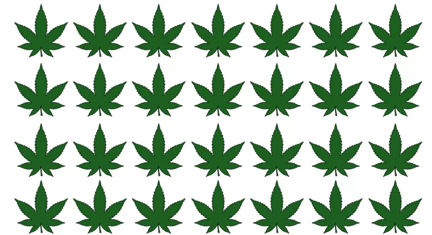 Lot of 28 small marijuana, ganja, pot, weed, herb decals or stickers ...