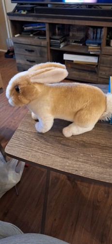 TIGER TALE TOYS REALISTIC PLUSH BUNNY RABBIT LIFELIKE STUFFED ANIMAL | eBay