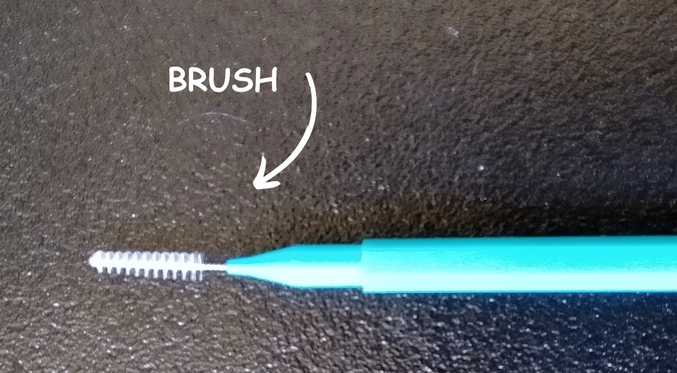 35 to 40 Owl Pellet Bones in Small Glass Jar, (1) Skull, Bone Brush ...