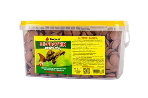 Tropical Fish Food - Hi-Protein Pleco Catfish Sinking Tablets Discs XXL ...