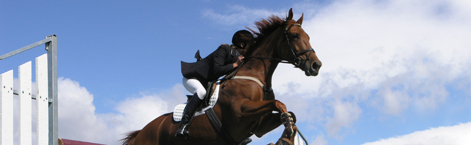 Snowflake Softchip High Performance Bedding, Shavings, Wood Chip 18 ...