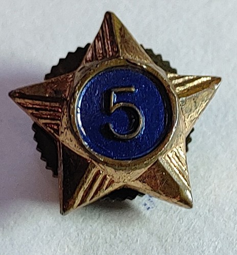 Vintage Boy Scouts of America BSA 5 Years of Service Blue Star Pin ...