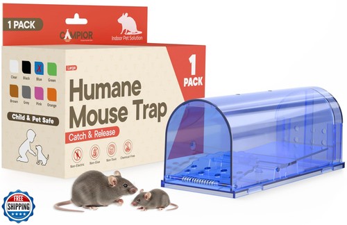 Campior Humane Mouse Trap for House – Large Size, No-Kill Mouse Traps ...
