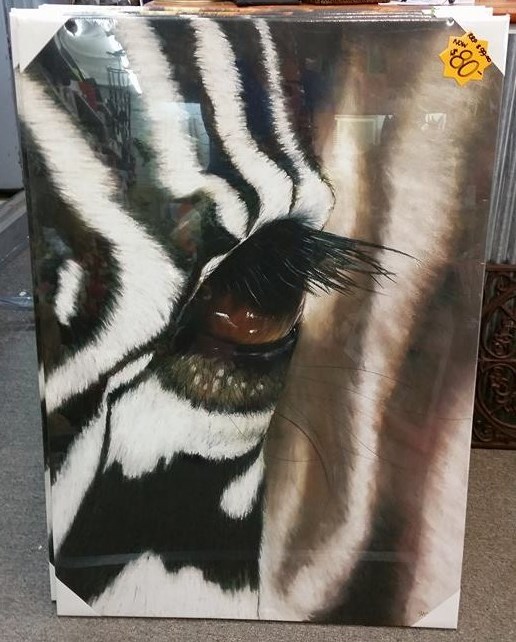 SPLOSH WILD ZEBRA ANIMAL CANVAS WALL ART PICTURE GIFT IDEA RRP $99 NOW ...