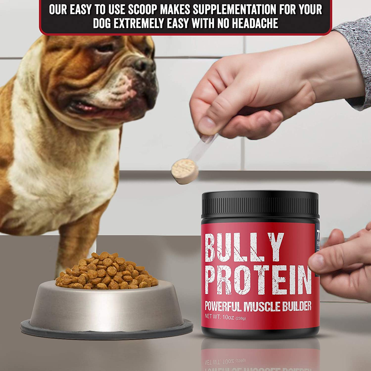 Can Dogs Eat Protein Powder