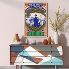 Red Hot Chili Peppers Tour Poster | eBay