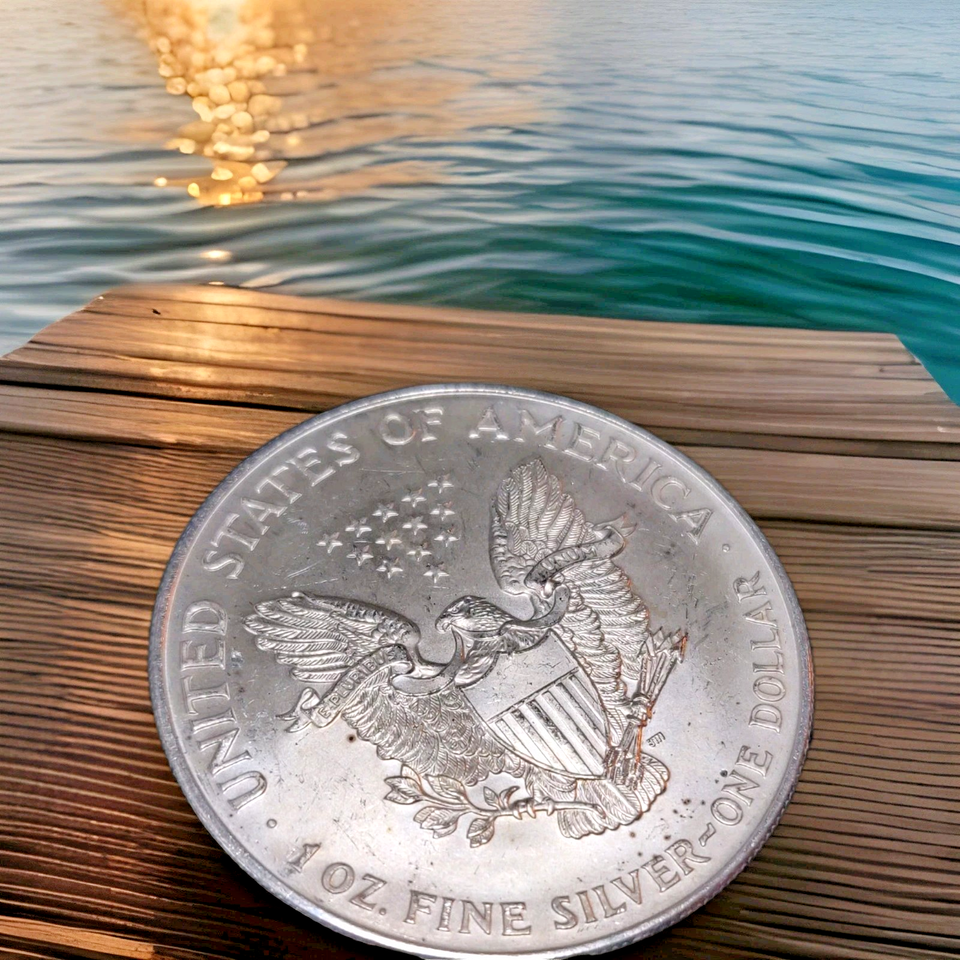 1996 SILVER EAGLE - 1oz .999 Pure - LOOKS GOOD BUT DON'T WAKE UP WITH ...