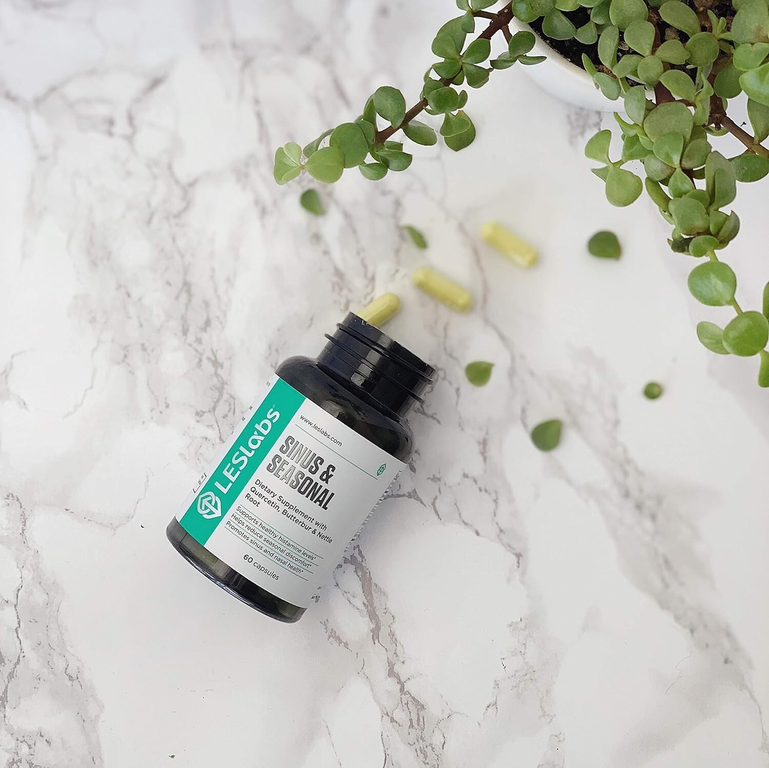 Sinus & Seasonal, Natural Supplement for Sinus & Na | eBay