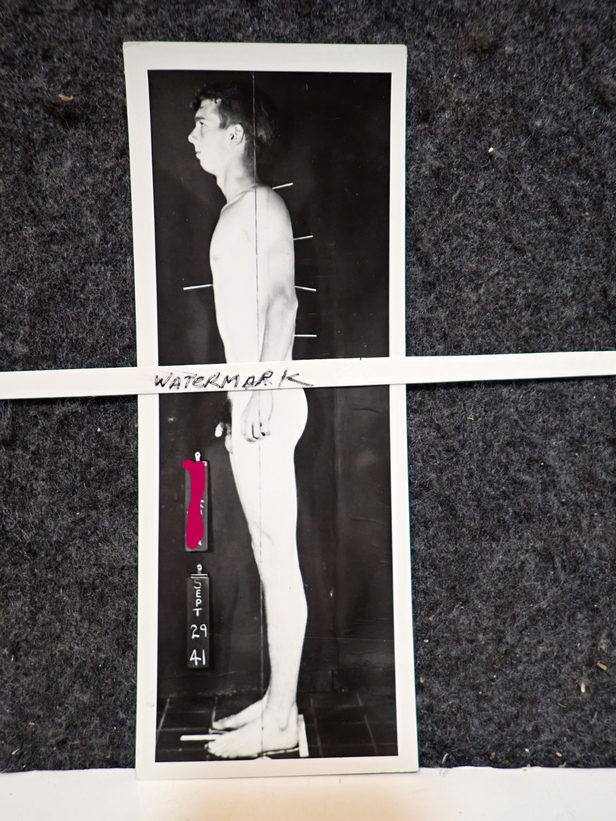 RARE 1941 OOAK VINTAGE NUDE MALE UNIVERSITY POSTURE EUGENICS RESEARCH ...