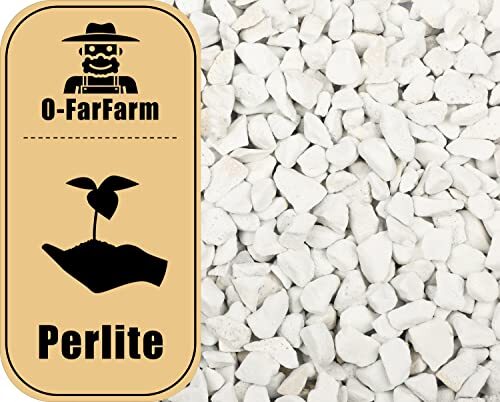 Chunky Perlite Bulk Horticultural Pearlite Coarse Perlite for Plants ...