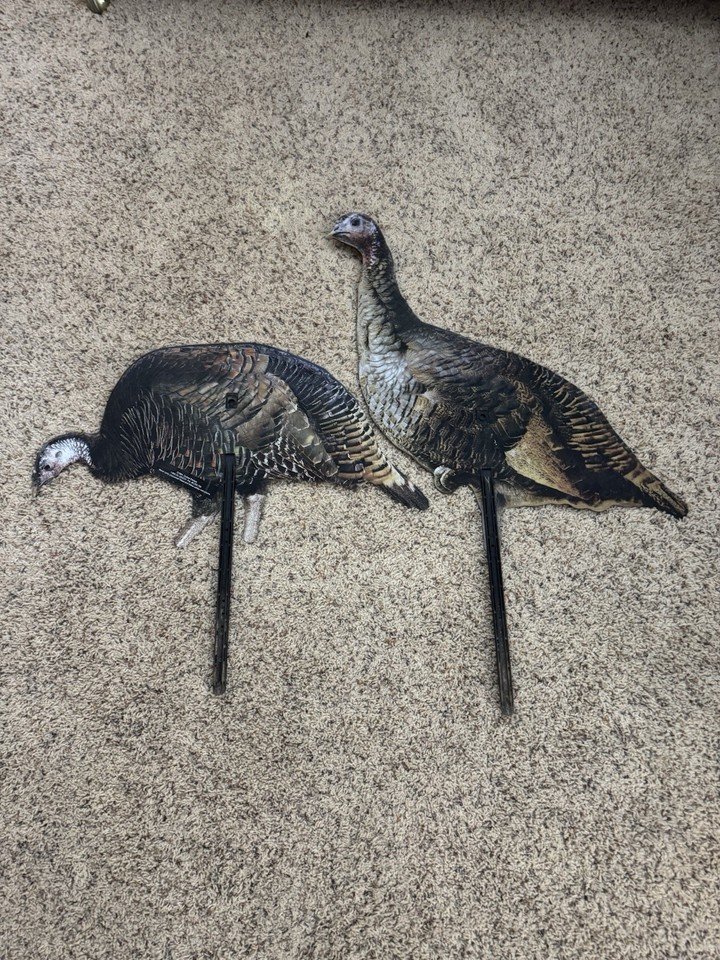 Vintage Outlaw Turkey Hunting Decoys. 2 Hens With Stakes. Made In USA ...