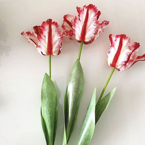 3D Artificial Parrot Tulip, Realistic Faux Silk Flower Home Garen Decor ...