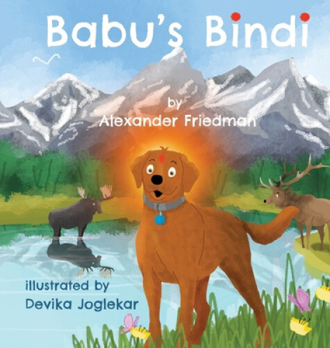 Babu's Bindi by Alexander Friedman 9780578635675 | eBay