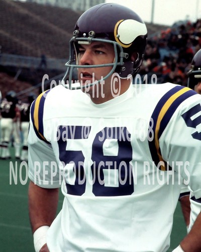 WALLY HILGENBERG MINNESOTA VIKINGS COLOR CLOSEUP 8X10 1973 | eBay