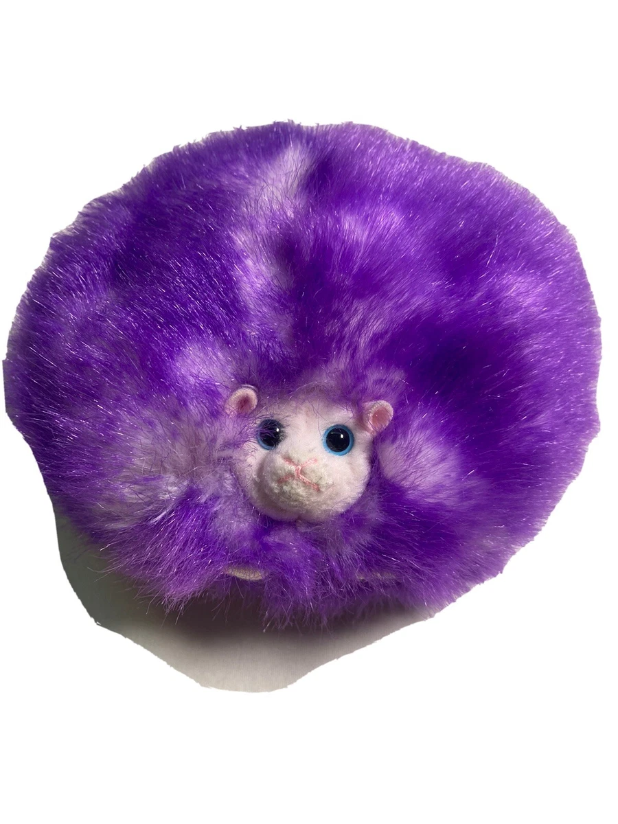 Purple Pygmy Puff