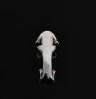 German Shorthaired Pointer Dog Ring, GSP Ring, Sterling Silver Rings ...