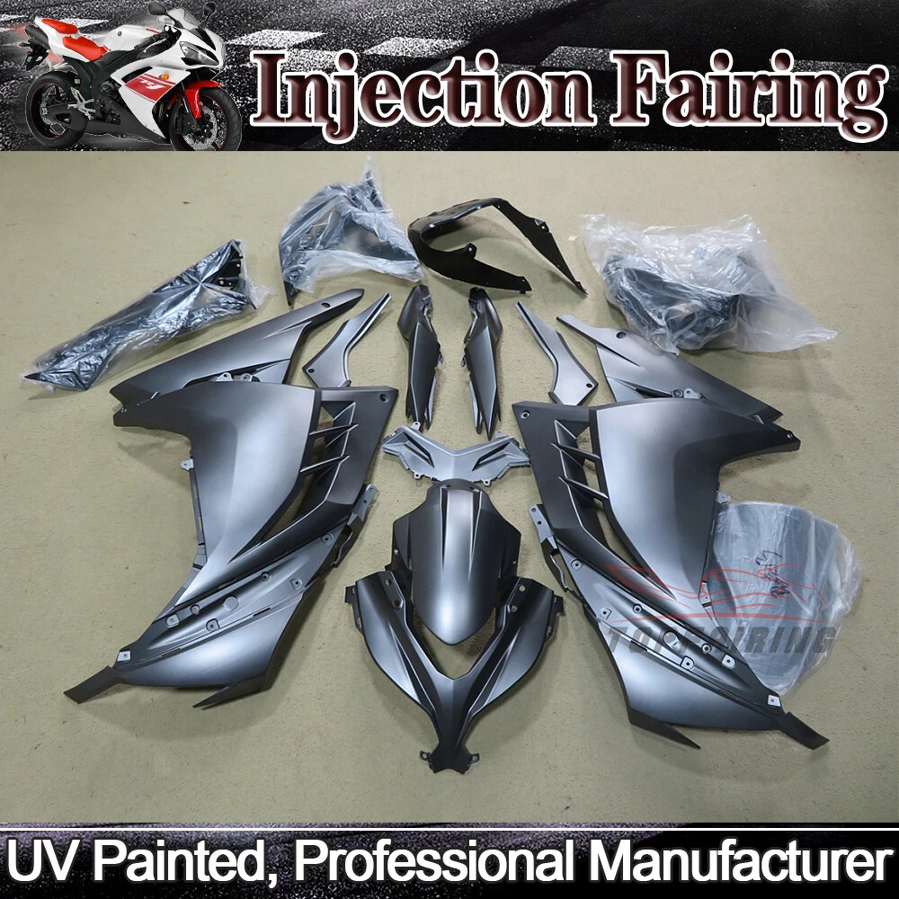Ninja 300 Grey