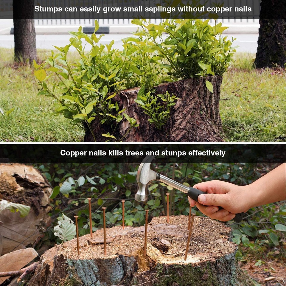Copper Nails for Killing Trees Stumps and Roots These Killer Spikes 4â ...