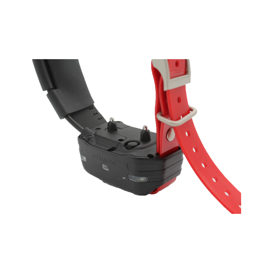 Used Garmin TT15 MINI GPS Dog Tracking Training Collar US Version with ...