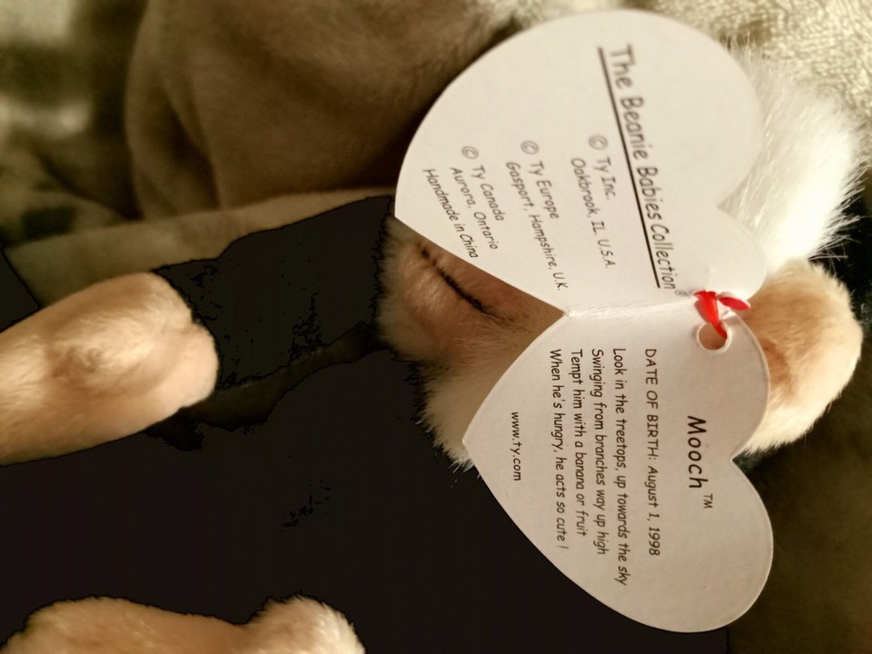 Ty Mooch beanie baby..Monkey..Born Aug. 1st. 1998. | eBay