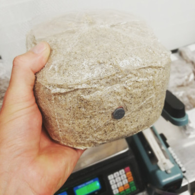 PF tek - IN A BAG! - brown rice flour & vermiculite sterile mushroom ...