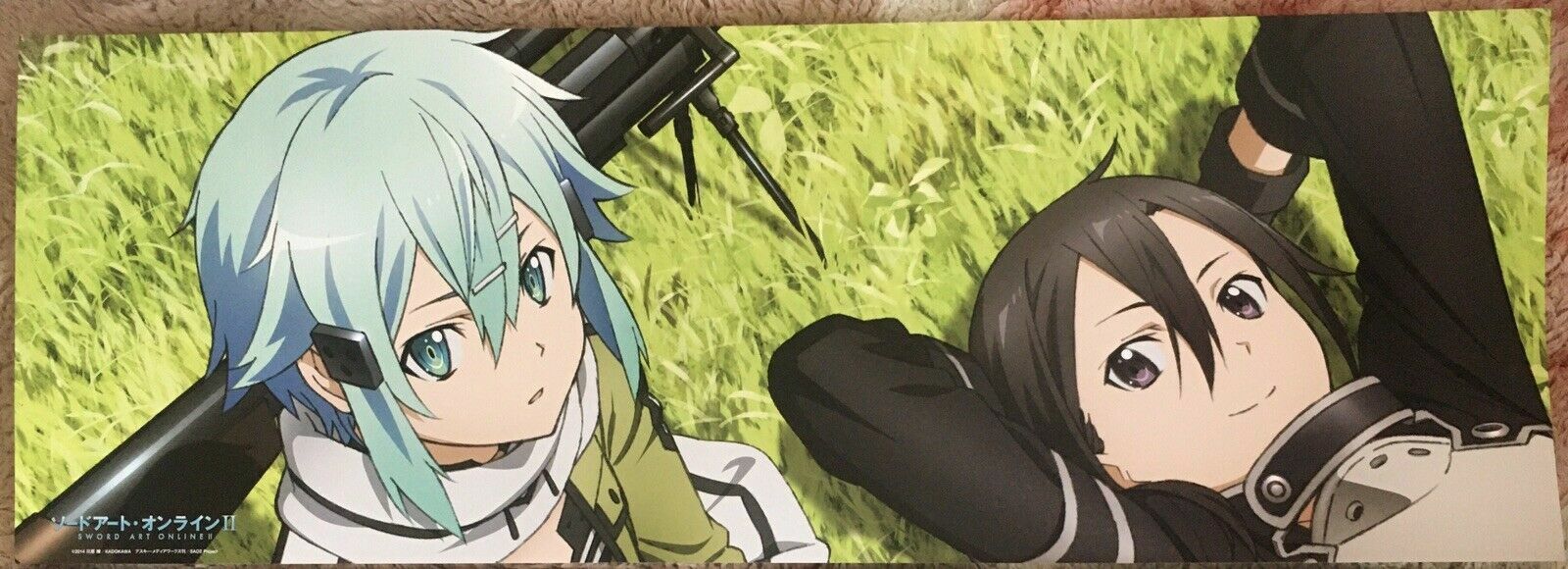 Sword Art Online 2 Kirito And Sinon