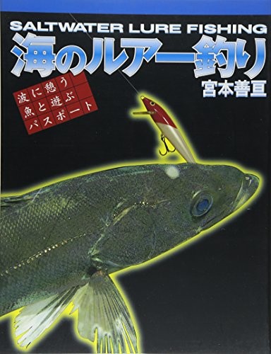 Lure fishing in the ocean: Passport to play with fishes resting in the ...