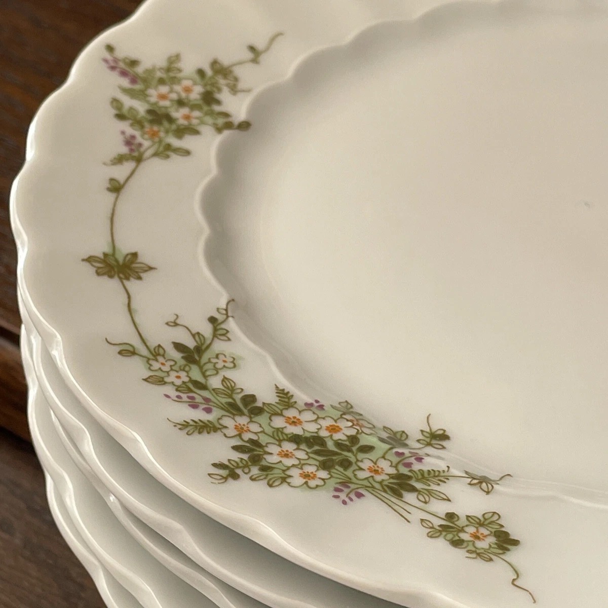 Elegant Eschenbach Porcelain Set: Timeless Bavarian, 55% OFF