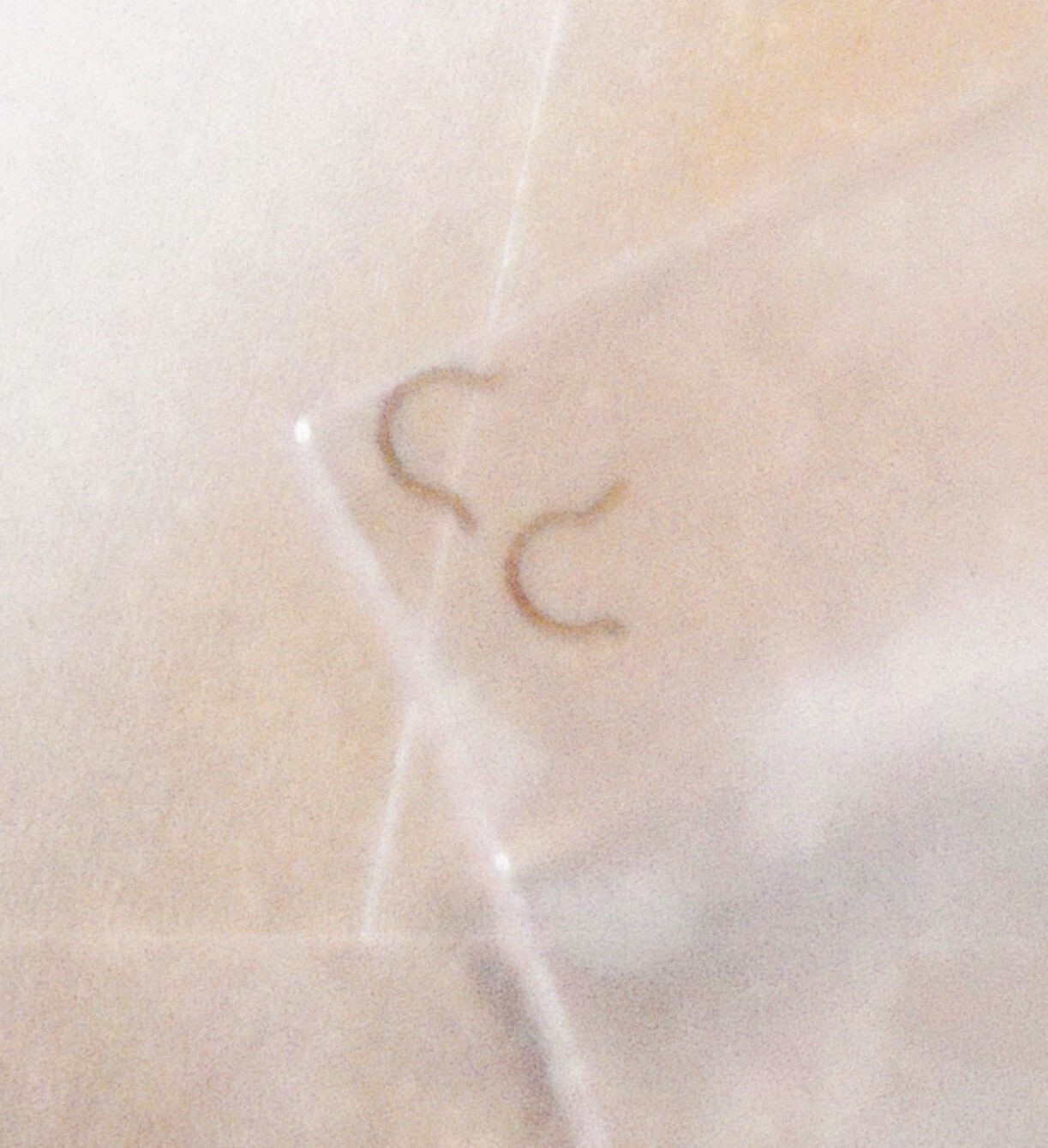 2 HAMILTON 6/0 14/0 18/0 SIZE CLICK SPRINGS #2320 NOS --- BB-765 | eBay