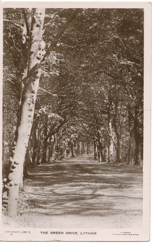 PC13460 The Green Drive. Lytham. Coppock. RP. 1958 | eBay