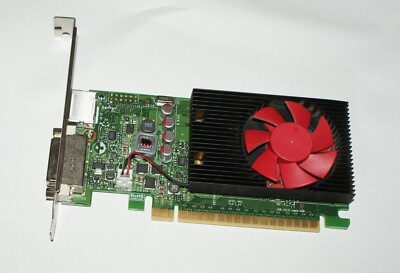 HP Nividia GeForce GT730 2GB GDDR3 DisplayPort/DVI PCIE Graphics Card ...