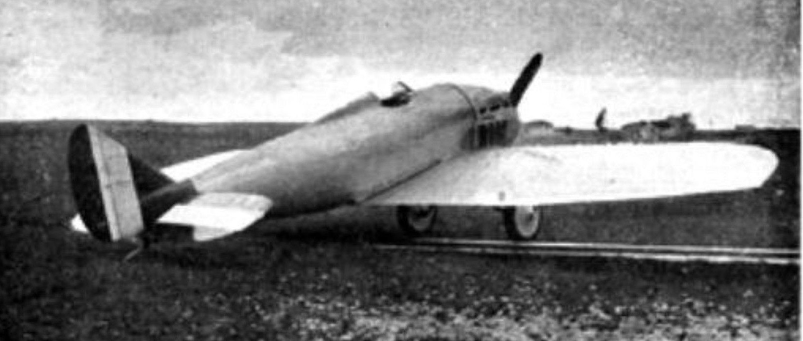 Piaggio Pegna P.2 Fighter Aircraft Mahogany Wood Model Large New | eBay