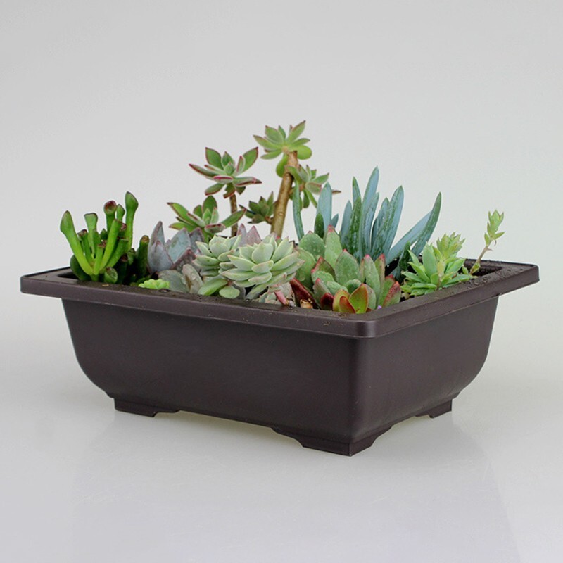 Plastic Plant Pot with Convex Edges and Saucer Perfect for Farmers ...