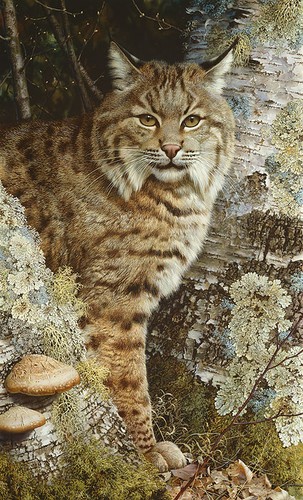 Carl Brenders Forest Sentinel - Bobcat | eBay