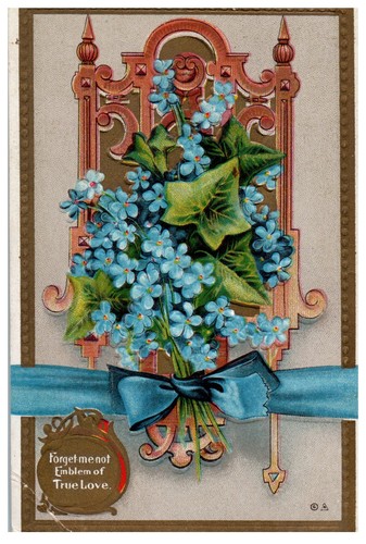 Forget Me Not True Love Emblem Blue Flowers Embossed Antique Postcard ...