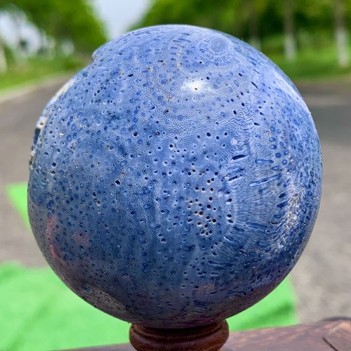 312G Natural Blue Coral Reef ball Cluster Marine Mineral Crystal ...