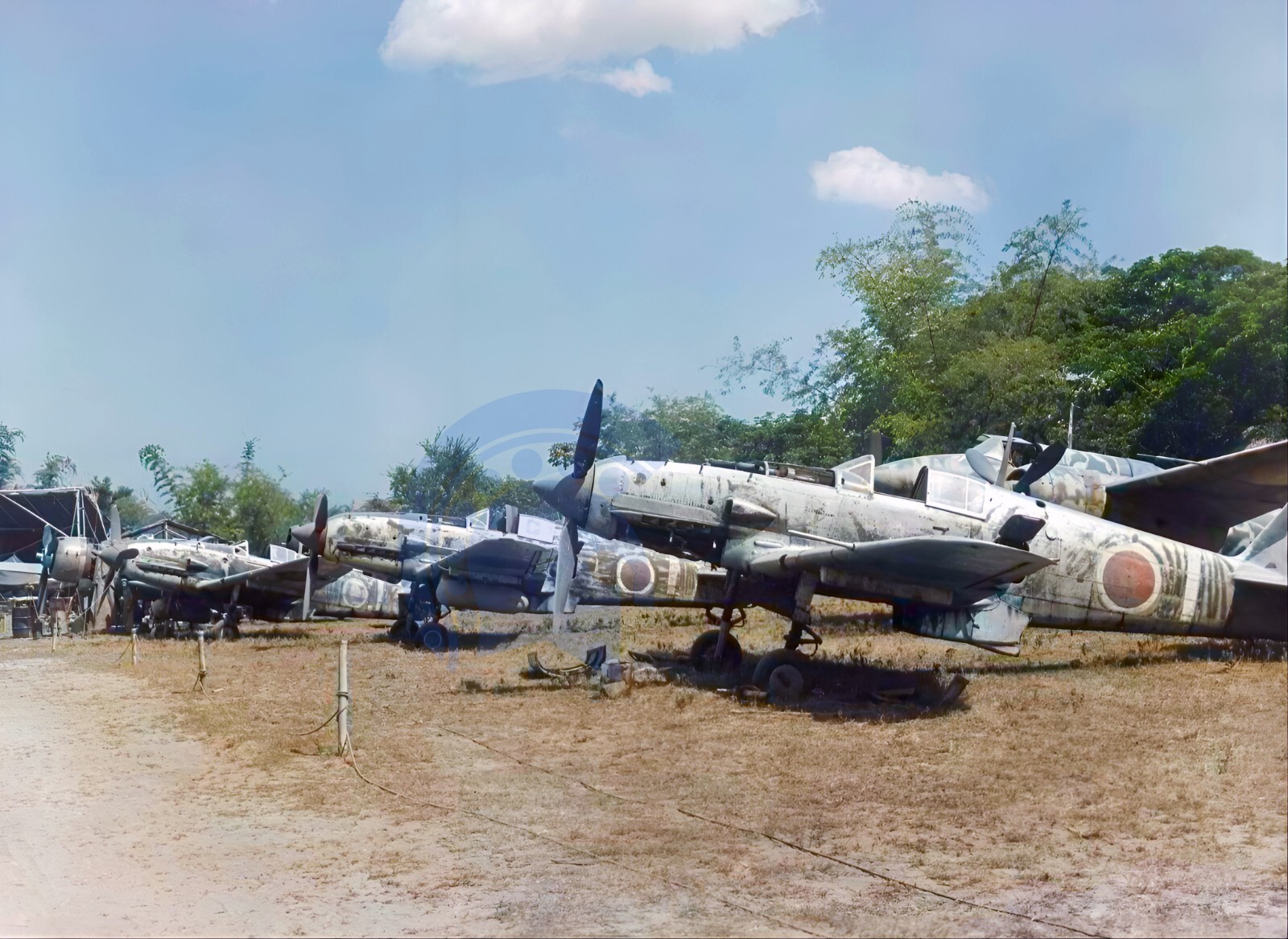 WW2 Colorized Japanese IJN Nakajima J1N1 Gekko (Irving) night fighter ...