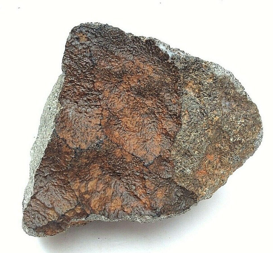 Classified Achondrite meteorite NWA 12513 fresh monomict gabbroic ...