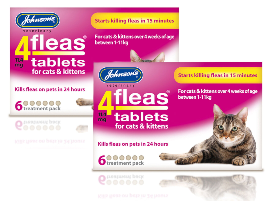 JOHNSONS 4FLEAS CATS & KITTENS TREATMENTS FLEA KILLER TREATMENT 3, 6 ...