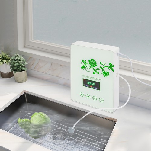600mg/h Food Vegetable Ozone Sterilizer Ozone Generator Ozonator Water ...