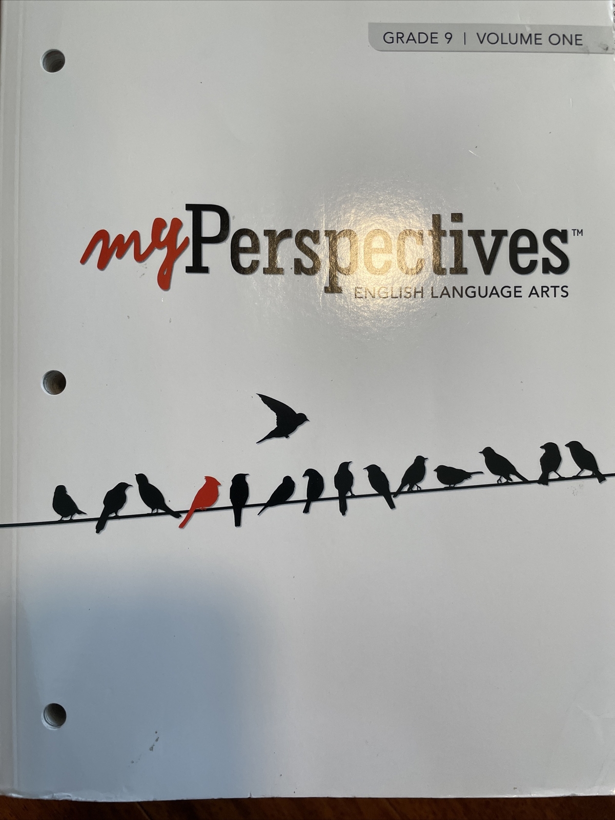 MY PERSPECTIVES English Language Arts - Grade 9 Vol. 1 - Like New CONDITION! 9780133338768| eBay