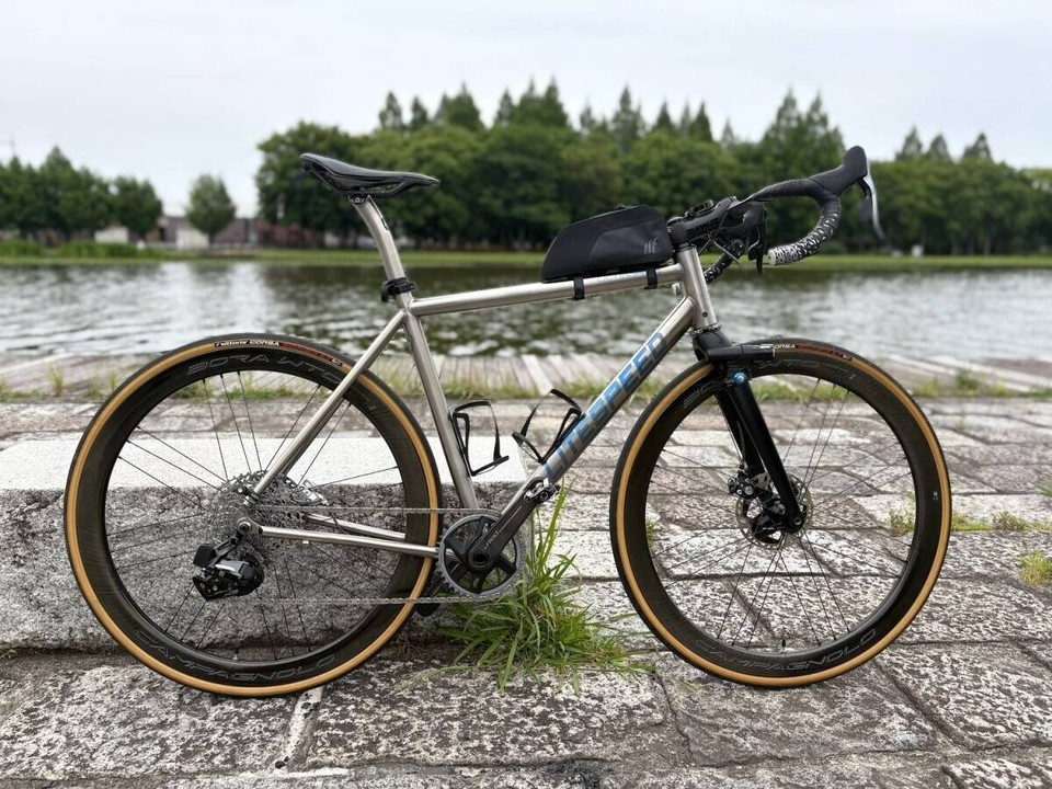 Litespeed Ultimate Disc Titanium Road Bike Frame Size ML | eBay