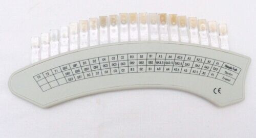 Heraeus Kulzer Venus® 2 -Layer System, Shade Guide for Composite Colors ...