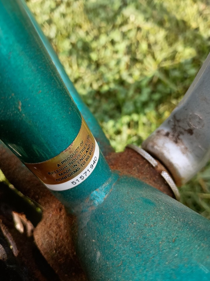 Vintage RALEIGH MAX OGRE-18 Steel Mtn Bike 19.5" Frame 26" Wheels ...