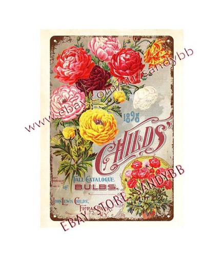 1898 Giant ranunculus John Lewis Childs flower bulbs Floral Park NY tin ...