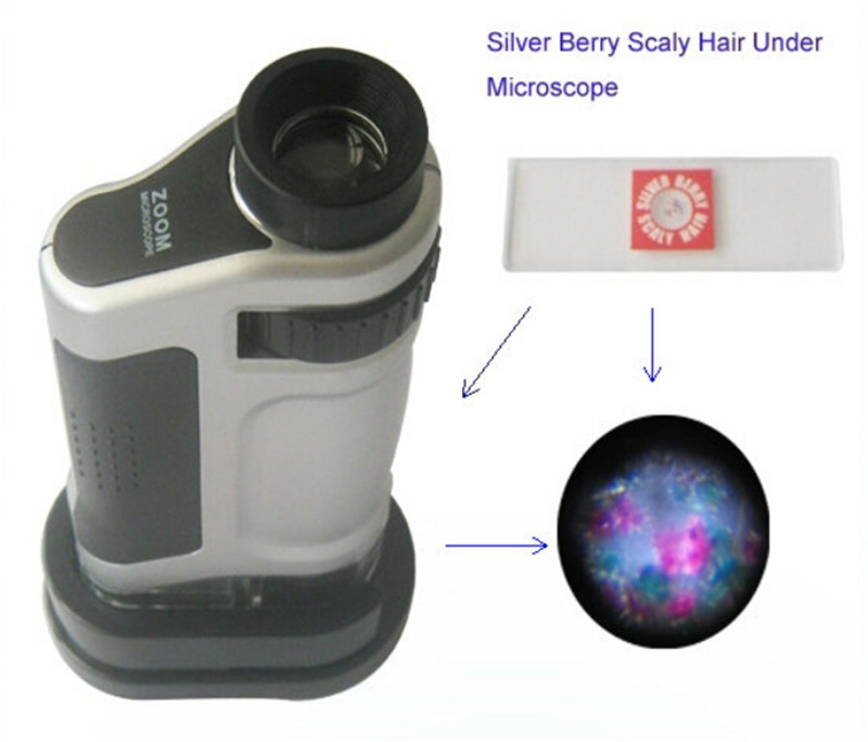 Zoom LED Illuminated Mini Pocket Microscope 20X-40X Magnifier with ...