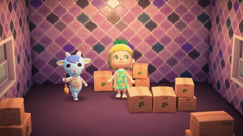 ACNH New Villagers (Cyd, Dom, Audie, Megan, Judy, Raymond, Reneigh ...