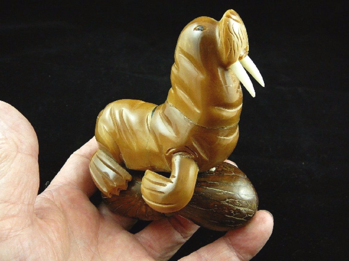 TNE-WAL-330-C) little tan Walrus TAGUA NUT palm figurine I love ...