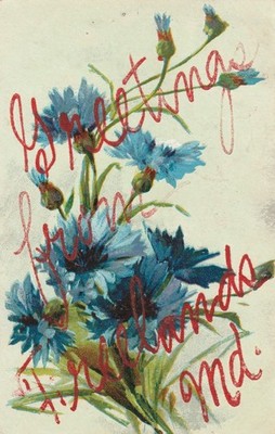 Freeland MD Greetings From Applied Words 1907 Embossed Flowers | eBay
